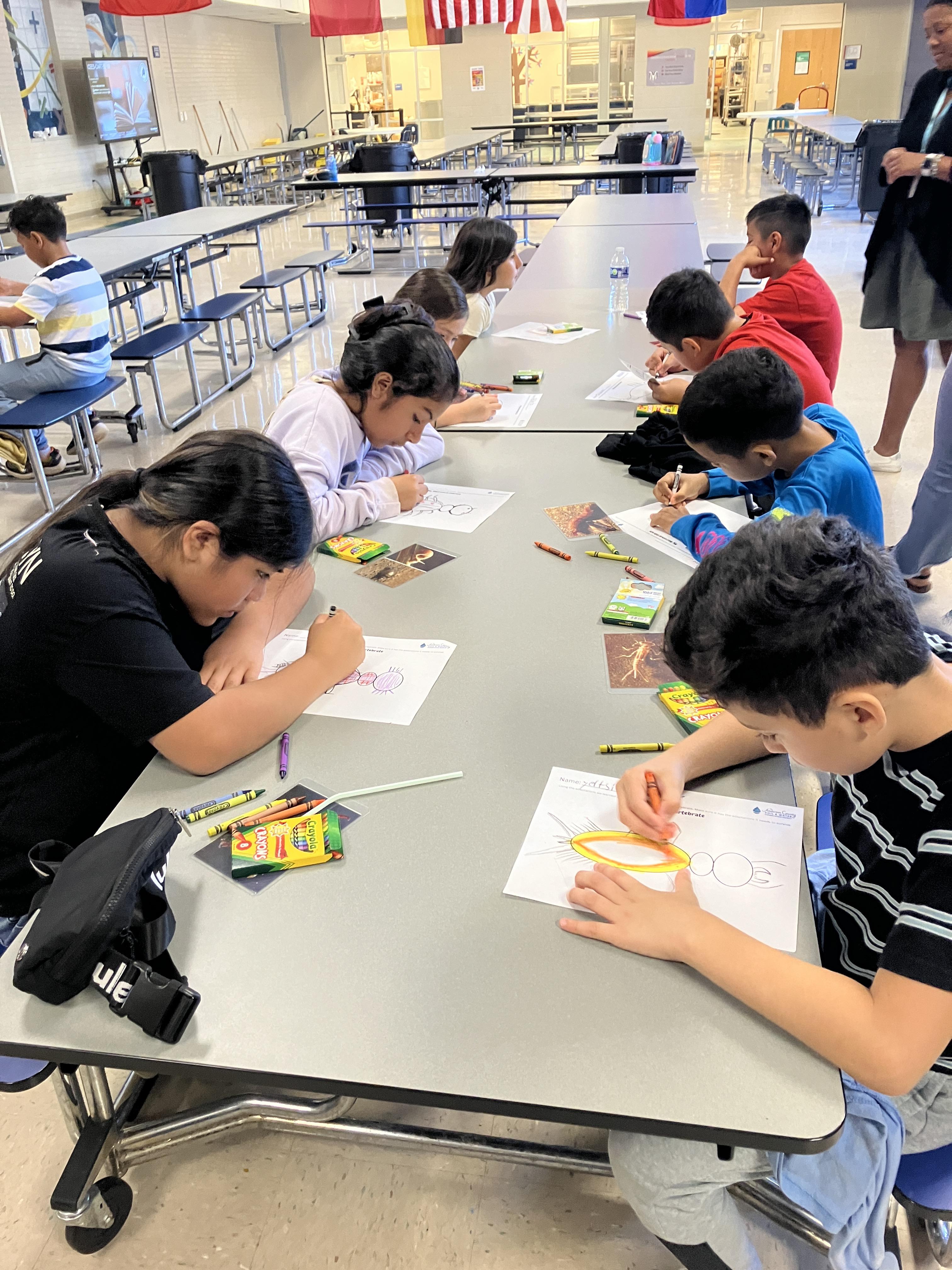 Youth Education Programs